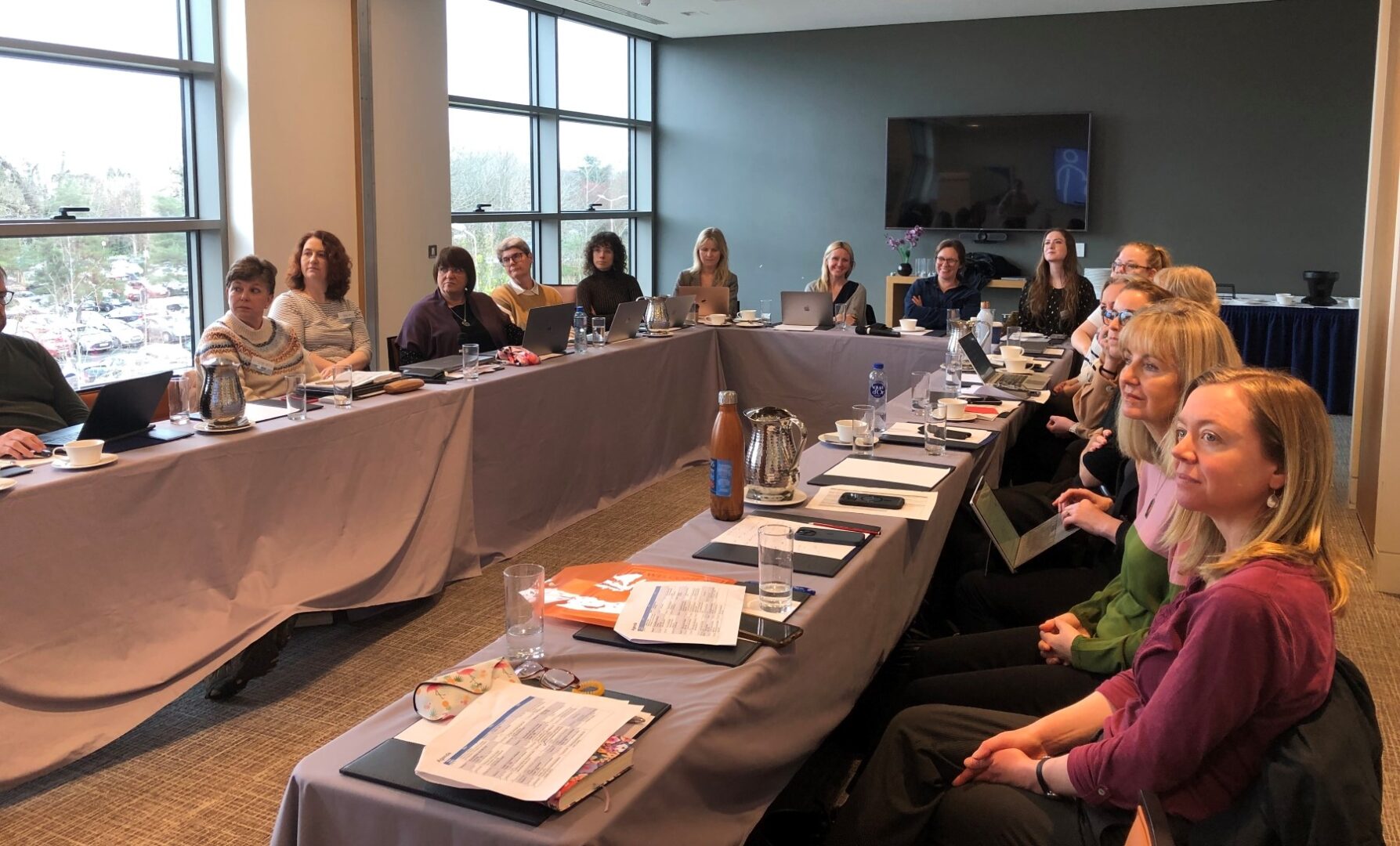 Highlights from the project's annual meeting - Bump2Baby and Me ...